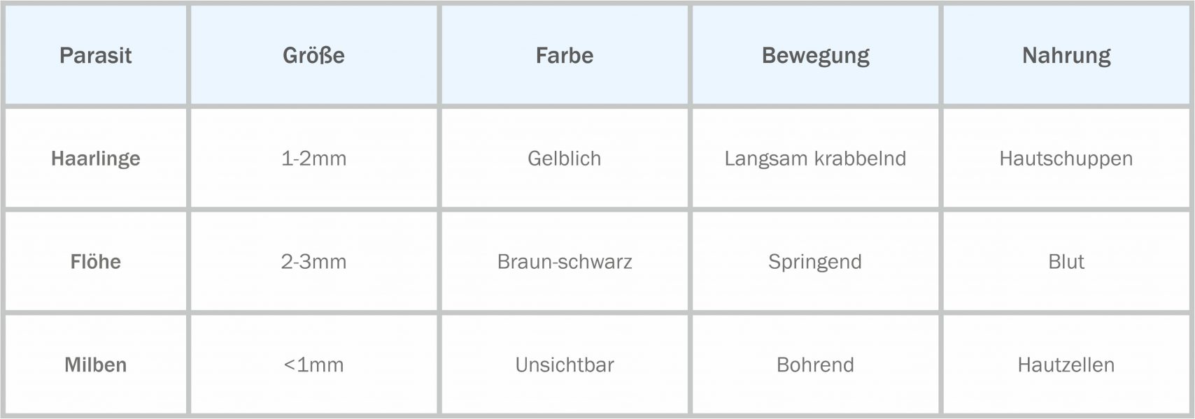 Haarlinge bei Katzen: Erkennen, Behandeln und Vorbeugen | Cat’s Best