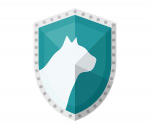 Das Immunsystem Deiner Katze stärken – so geht´s! | Cat’s Best