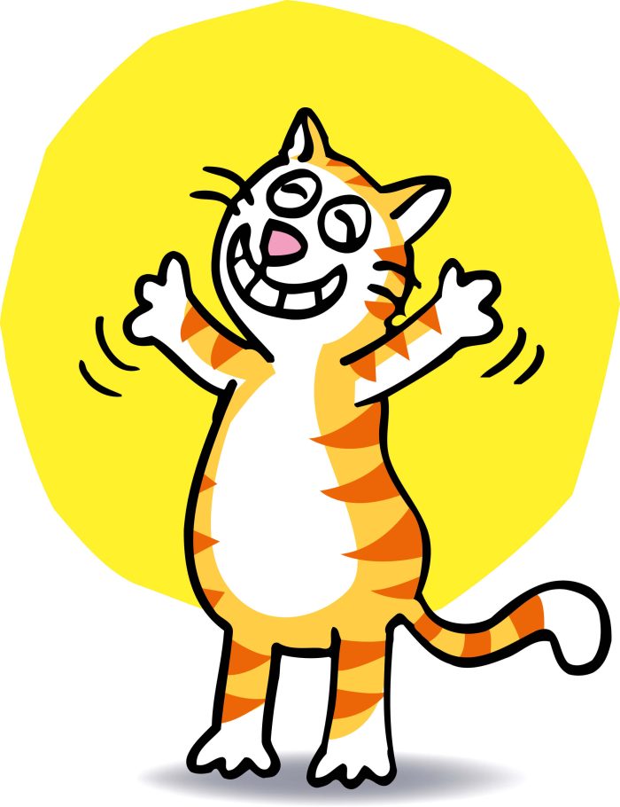 Die Schnurrhaare der Katzen | Cat’s Best