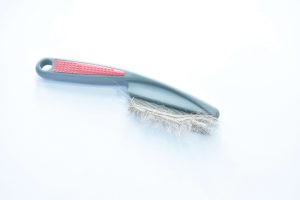 Haarlinge bei Katzen: Erkennen, Behandeln und Vorbeugen | Cat’s Best