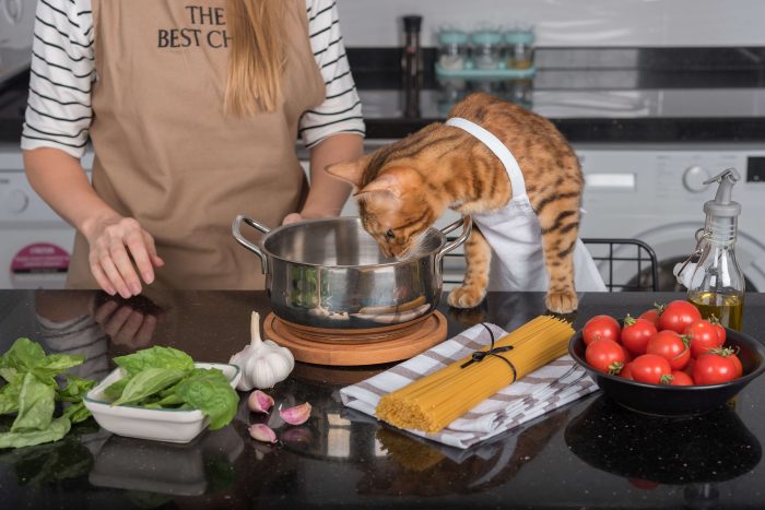 Katzenfutter selbst machen | Cat’s Best