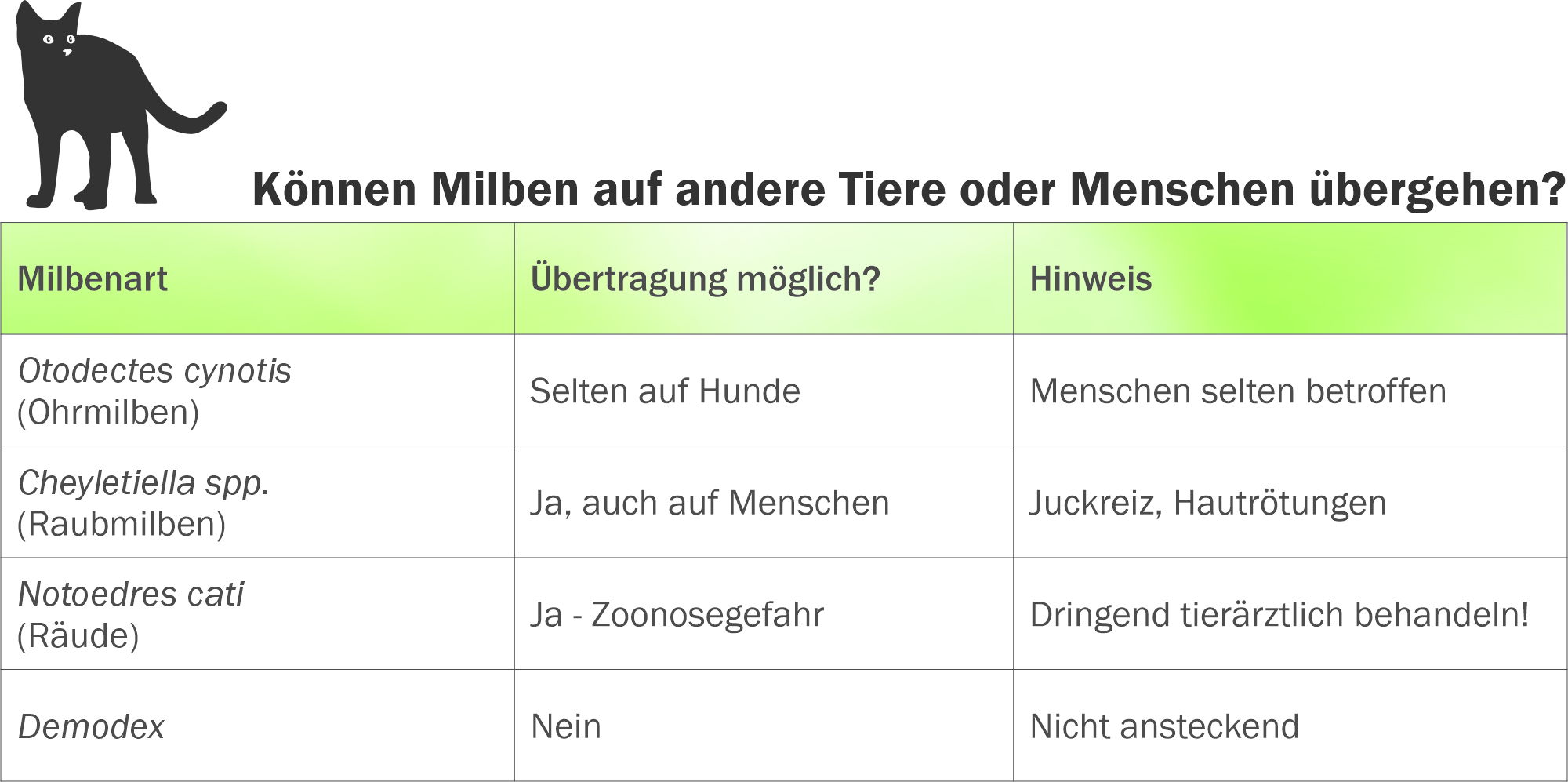 Milben Bei Katzen Auf Menschen Ubertragbar