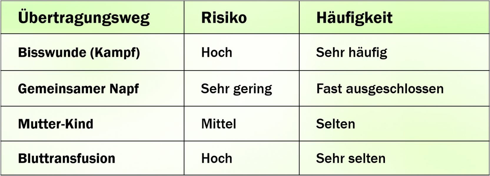 FIV bei Katzen – Symptome, Ansteckung & Leben mit der Diagnose | Cat’s Best